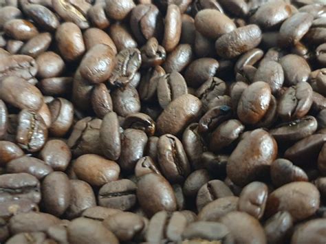 창원 커피머신렌탈 전국 최저가 렌탈 베누스타커피에서 했어요 네이버 블로그