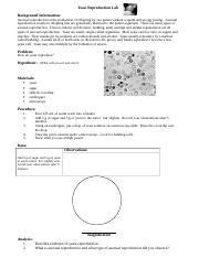 Yeast Reproduction Lab Asexual Reproduction Doc Yeast Reproduction Lab Background