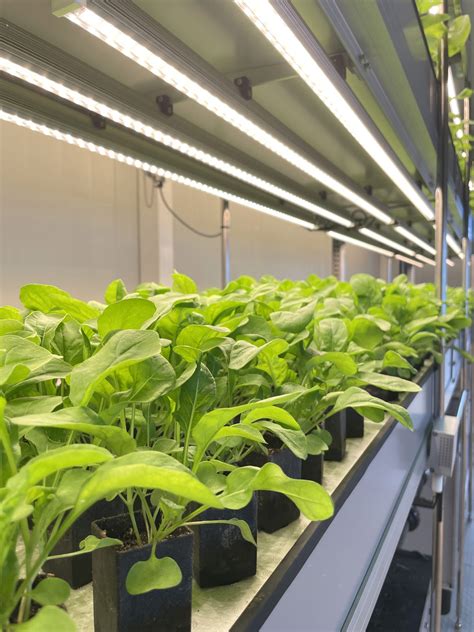 만나cea 스마트 팜 주정한종합건설