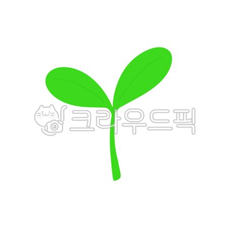 Leaf 잎 새싹 식물 풀 사진 이미지 일러스트 캘리그라피 Sobbang작가