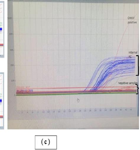 A The Amplification Plot Of Multiplex Real Represents A Specific Download Scientific Diagram