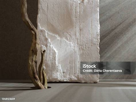 흰색 돌과 나무 가지와 빛나는 태양 광선 물체 배치에 대한 추상적 배경 연단 포장 디자인 모형 3d 렌더링 강단에 대한 스톡 사진 및 기타 이미지 Istock