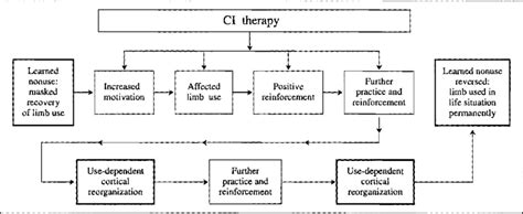 Overcoming Learned Nonuse Ci Constraint Induced Movement Therapy