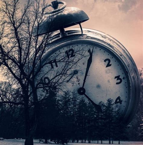 ქართველები პოლონეთში