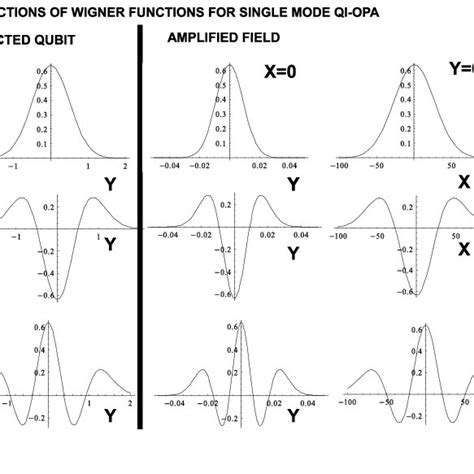 Sections Of The Wigner Function For The Injection Of The Single Photon
