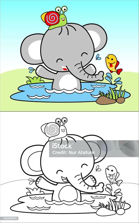 늪에서 달팽이와 물고기가 있는 귀여운 코끼리의 색칠하기 책 벡터 교육에 대한 스톡 벡터 아트 및 기타 이미지 교육 귀여운 놀기 Istock