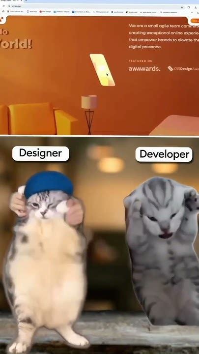 Designer Vs Developer Shorts Designer Developer Youtube