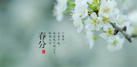 2024年春分过后气温回升吗（春分的气温有什么变化）生活天鹮网