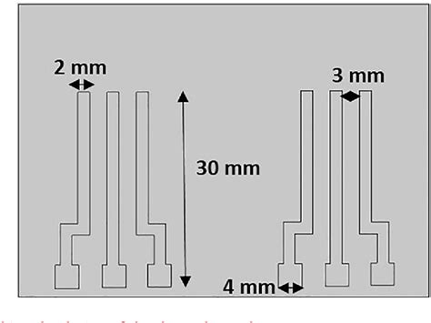Figure 1 From A Protocol To Execute A Lab On Chip Platform For