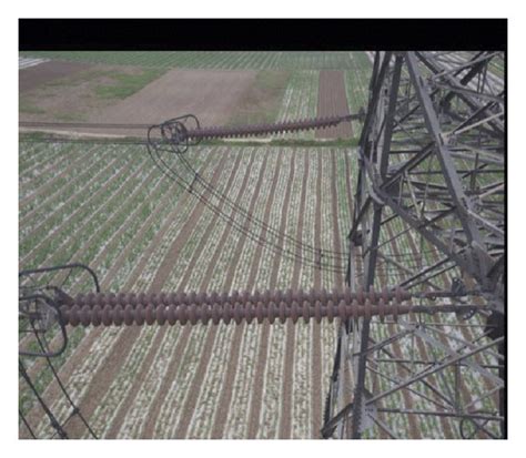 Images Before And After Random Translation Download Scientific Diagram