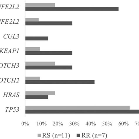 Rates Of Somatic Mutations In All Lscc Cases Based On Targeted Exome Download Scientific