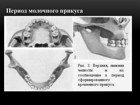 Методы обследования в детской стоматологии презентация онлайн