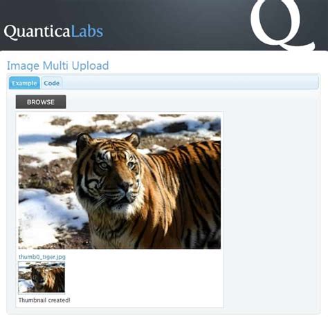 Upload Multi Imagem Script Php Script Php Os Melhores Script Php E