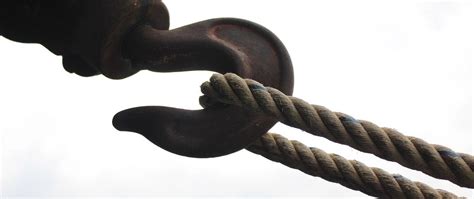 Angular Introduction To Lifecycle Hooks Dev Community