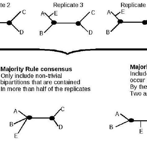 Outline Of Strict Majority Rule And Majority Rule Extended Consensus Download Scientific