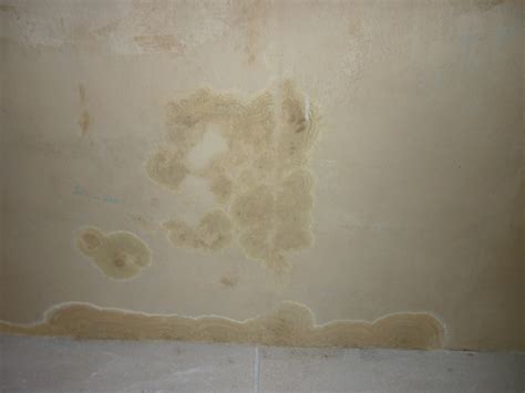 ГИПСОВАЯ ШТУКАТУРКА В ВАННОЙ: да или нет? - Блоги Mastergrad