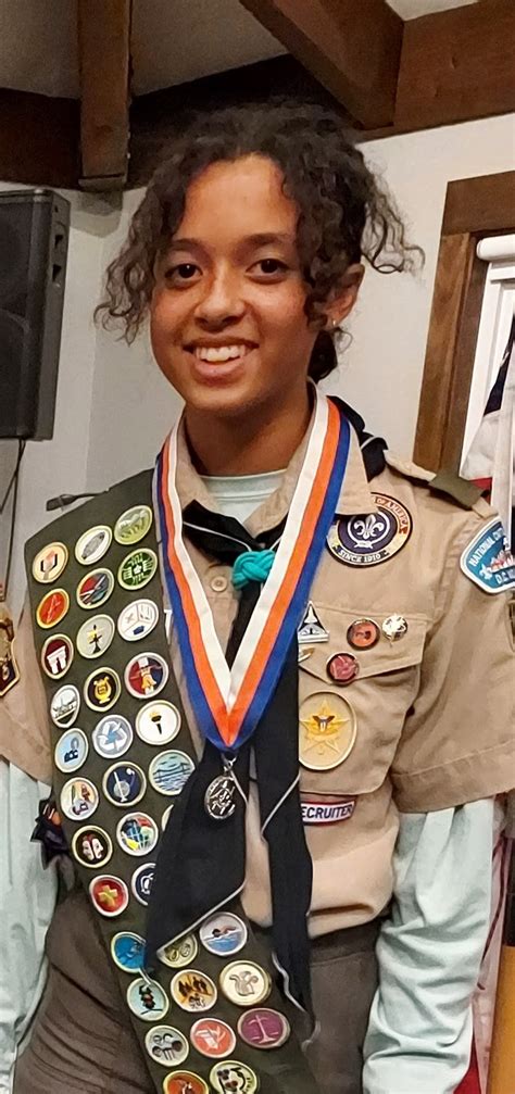Earning Silver Medals In Stem In Scouting We Own Adventure