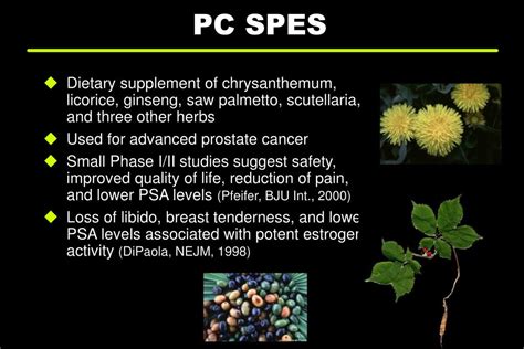 PPT - PC SPES PowerPoint Presentation, free download - ID:122511