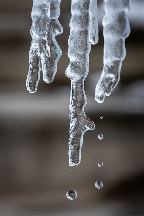 Melting And Freezing Artofit