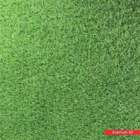 Excellent Synthetic Grass Roll 1m Width Ever Lush 30