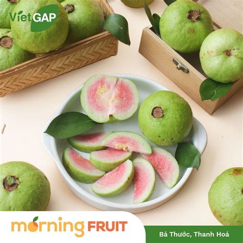 Ổi Ruby Morning Fruit Trái Cây Chất Lượng Cao
