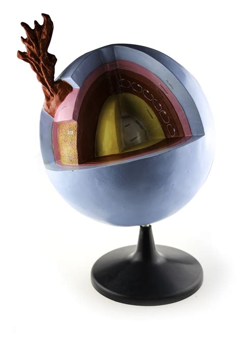 Будова Сонця зовнішня та внутрішня структура Сонячна активність Нова Початкова Школа