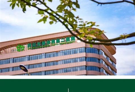 为何图片问题不断？四川大学华西第二医院的论文被质疑 知乎