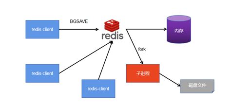 Redis基础（三）redis持久化：rdb与aof 大杂草 博客园