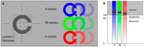 Clinical Applications Of The Cone Contrast Test In Ophthalmology And Neurology