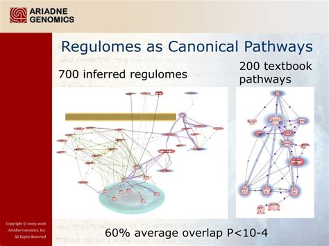 Ppt Molecular Networks In Mammals Extraction From Literature And Microarray Analysis