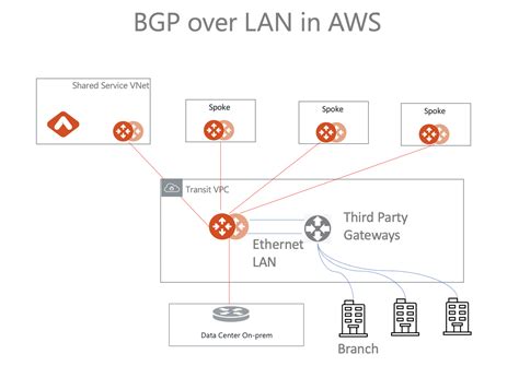 transit gateway bgp over lan in aws workflow documentation