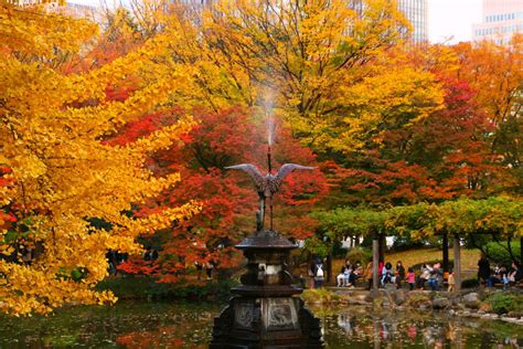 日比谷公園の紅葉 GANREF