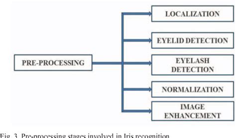 figure 2 from a review on iris recognition system using machine and