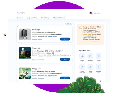 Clean Energy Program Management Us