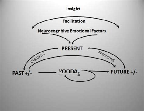 schematic representation of neuro cognitive processes in decision