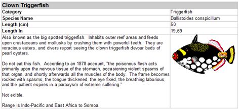 How To Use The New Table Object In Fastreport Vcl 6 Fast Reports