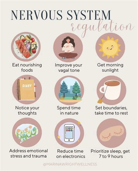 Nervous System Regulation Nervous System Mental Health Therapy Emotional Health