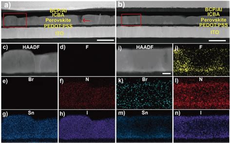 Ab Cross‐sectional Scanning Transmission Electronic Microscopy Stem