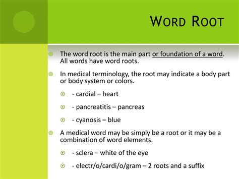 Ppt Chapter 1 Basic Word Structure Powerpoint Presentation Free