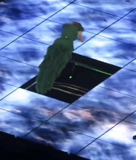 Taylor Swifts Stage Dive Secret Revealed