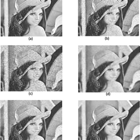 filtering results using different methods for couple image contaminated