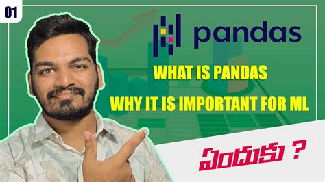 what is pandas why it is important for datascience and ml telugu developer devendra