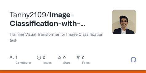 Github Tanny2109 Image Classification With Visual Transformers Training Visual Transformer