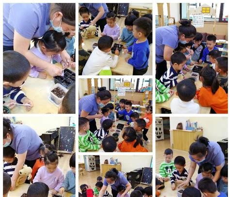 植树节包头市九原区第二幼儿园中海分园——春风温柔 与绿相约