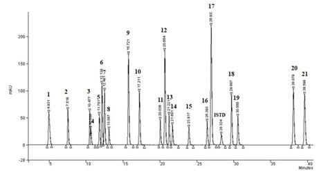 Hplc Dad Chromatogram Of Standard Phenolic Compounds Mixture 40 Mg L Download Scientific