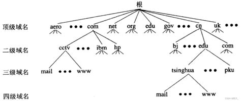 安全基础 html基础标签 dns工作原理 html dns js csdn博客
