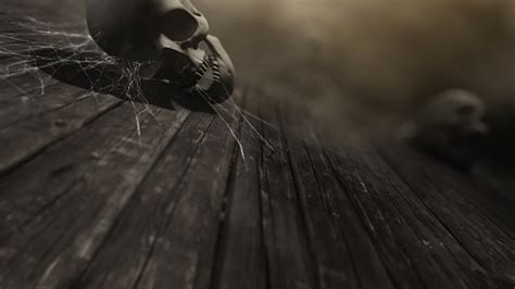 복사 공간이 있는 나무에 거미줄이 있는 공포 두개골 3d 렌더링 할로윈 배경 가을에 대한 스톡 사진 및 기타 이미지 가을 거미줄 공포 무서움 Istock