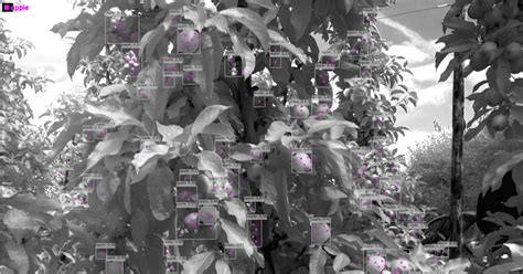 enhanced object detection with hyperspectral data
