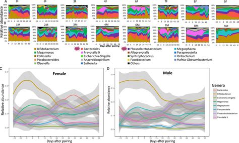 Longitudinal Microbiome Variation After Pairing A And B Taxonomic Download Scientific