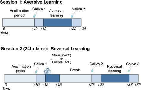 figure 1 from stress attenuates the flexible updating of aversive value